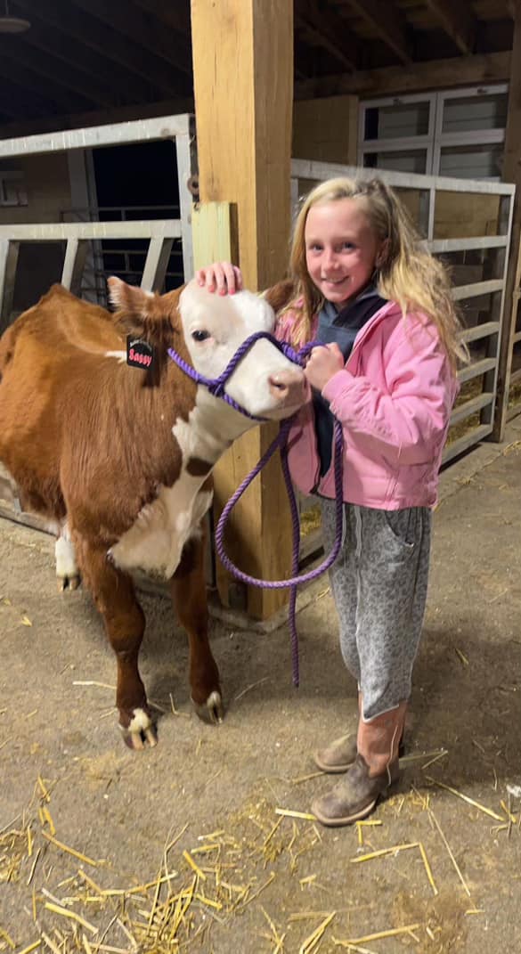 Heifer Program Virginia Hereford Association